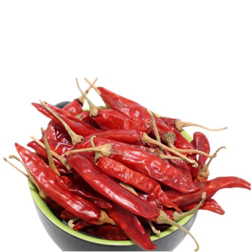 ChhayaKart | Gaon Ki Dukaan